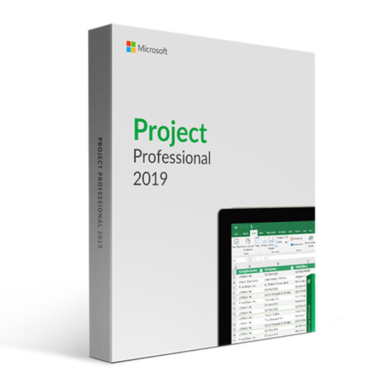 Microsoft Project 2019 Professional (MS Project Pro 2019) - 2025 - TOGO ...
